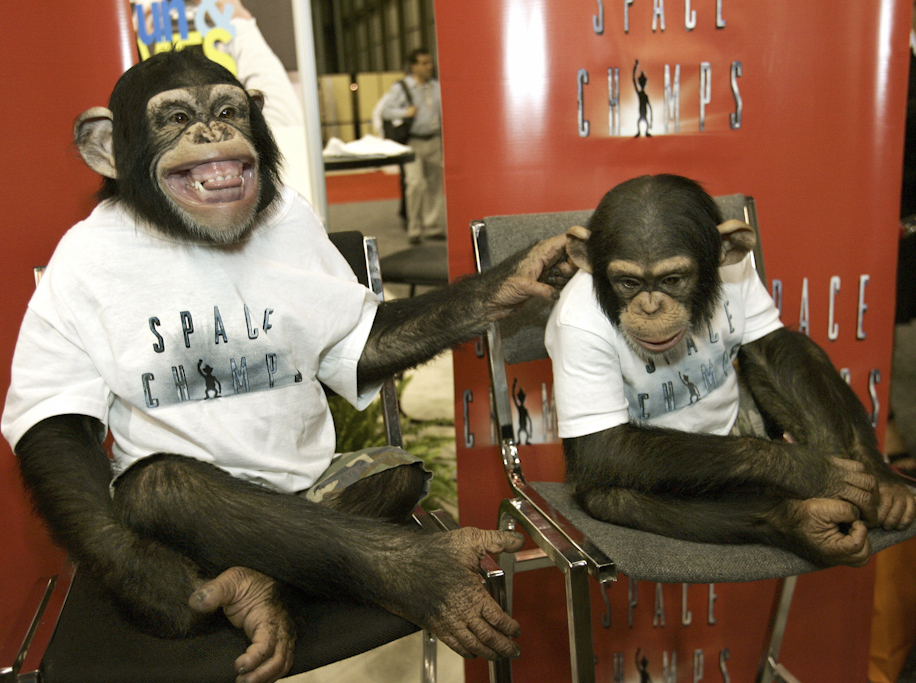 Iran plans to send a monkey into space - The World from PRX