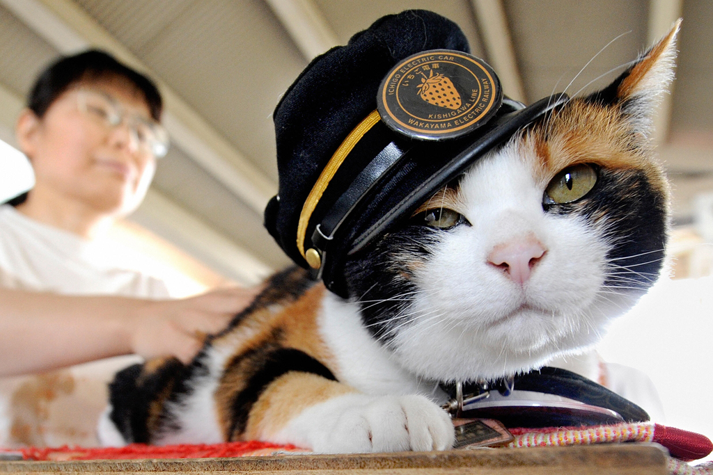Japan: if these ears could speak - The World from PRX
