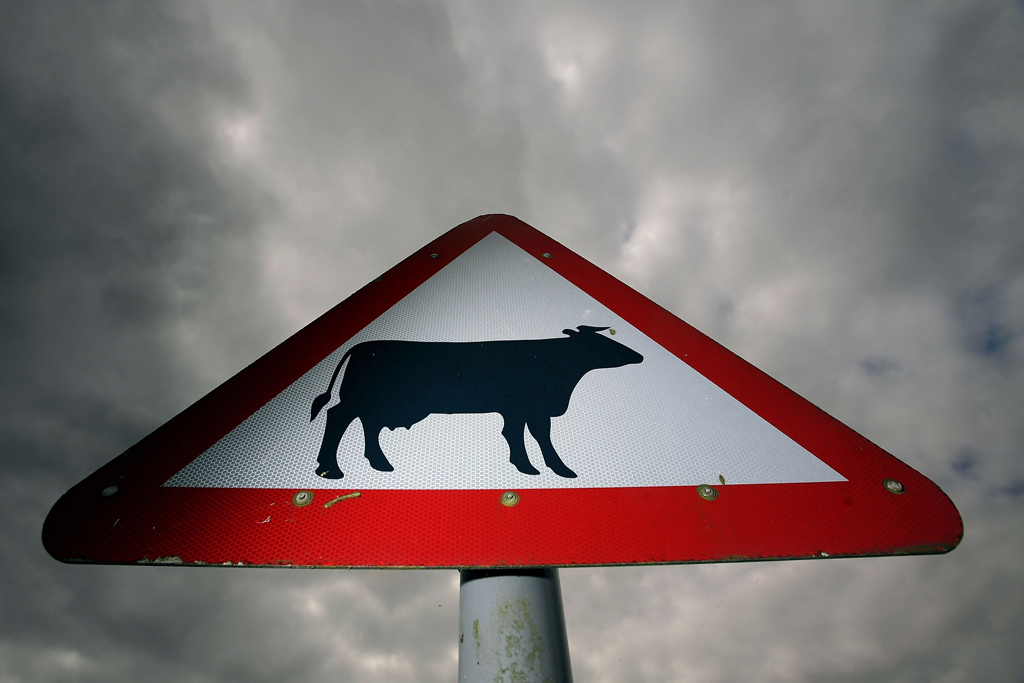 Radioactive meat on the market in Japan - The World from PRX