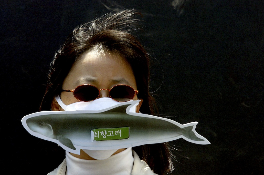 South Korea seeks approval to resume whaling - The World from PRX
