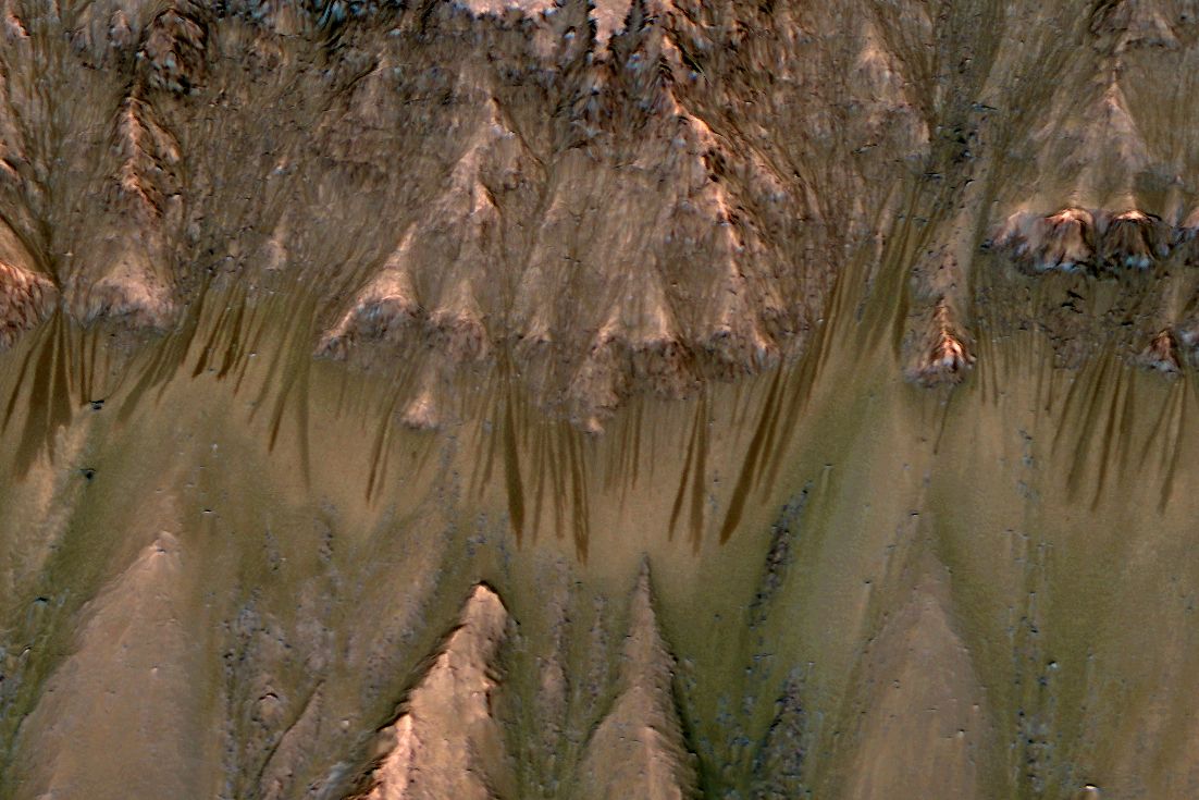 1976 space data shows evidence of life on Mars: report - The World from PRX