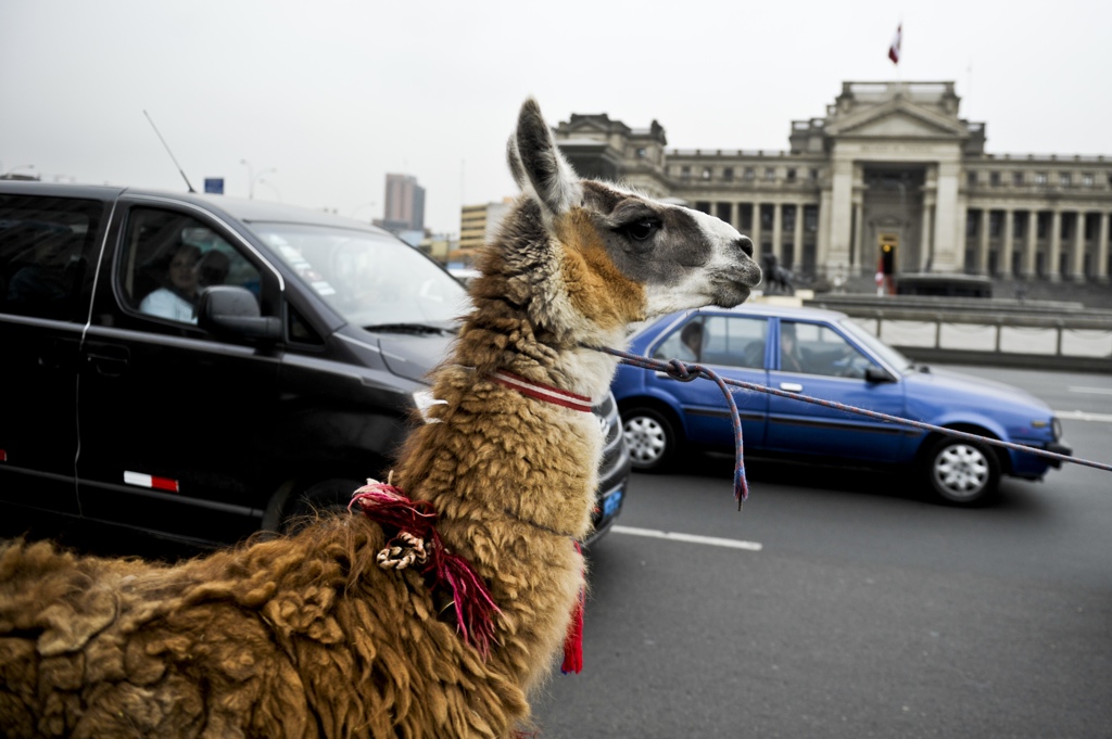 Peru: Lima’s progressive mayor vs. gangster order - The World from PRX