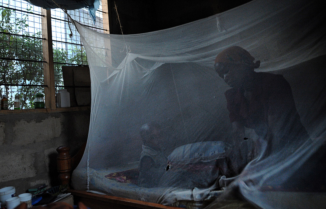 Study questions current malaria prevention approaches - The World from PRX