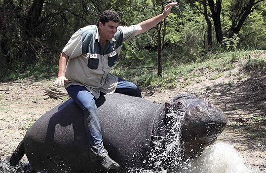 South African man killed by his pet hippo, Humphrey (VIDEO) - The World ...