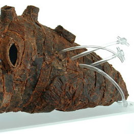 Meat Houses. Yes, Houses Made Out of Meat - The World from PRX