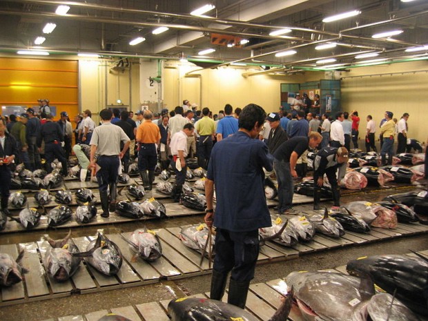 Bidding for Tuna at the Biggest Fish Market in the World - The World ...