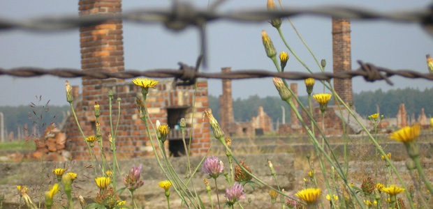 German National Soccer Team Begins EURO2012 with Auschwitz Visit - The ...