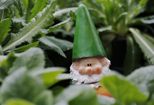 Gnomes Invade the Chelsea Flower Show - The World from PRX
