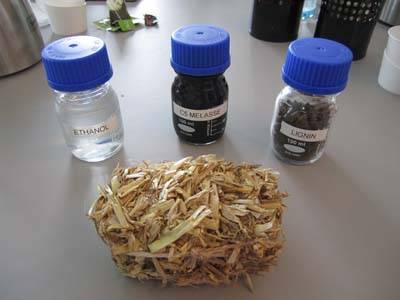 Fuel from straw — a biofuel breakthrough? - The World from PRX