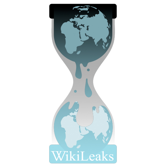 The Wikileaks Effect - The World from PRX