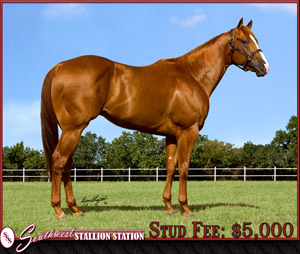 Mexican Drug Cartel's Connection to US Horse Racing - The World from PRX