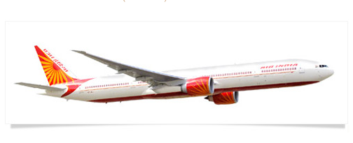 Passengers spend 8 hours stuck on Air India Flight 131, just miles from ...