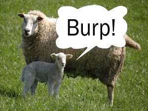 Fighting burps helps the environment - The World from PRX