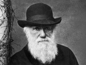 Darwin the Abolitionist - The World from PRX