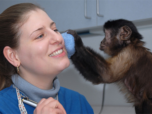 Training monkeys to assist people with severe disabilities - The World ...