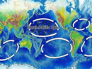 Giant mass of plastic threatens marine life in Pacific - The World from PRX