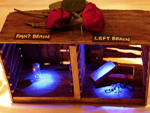 Tale of Two Brains - The World from PRX