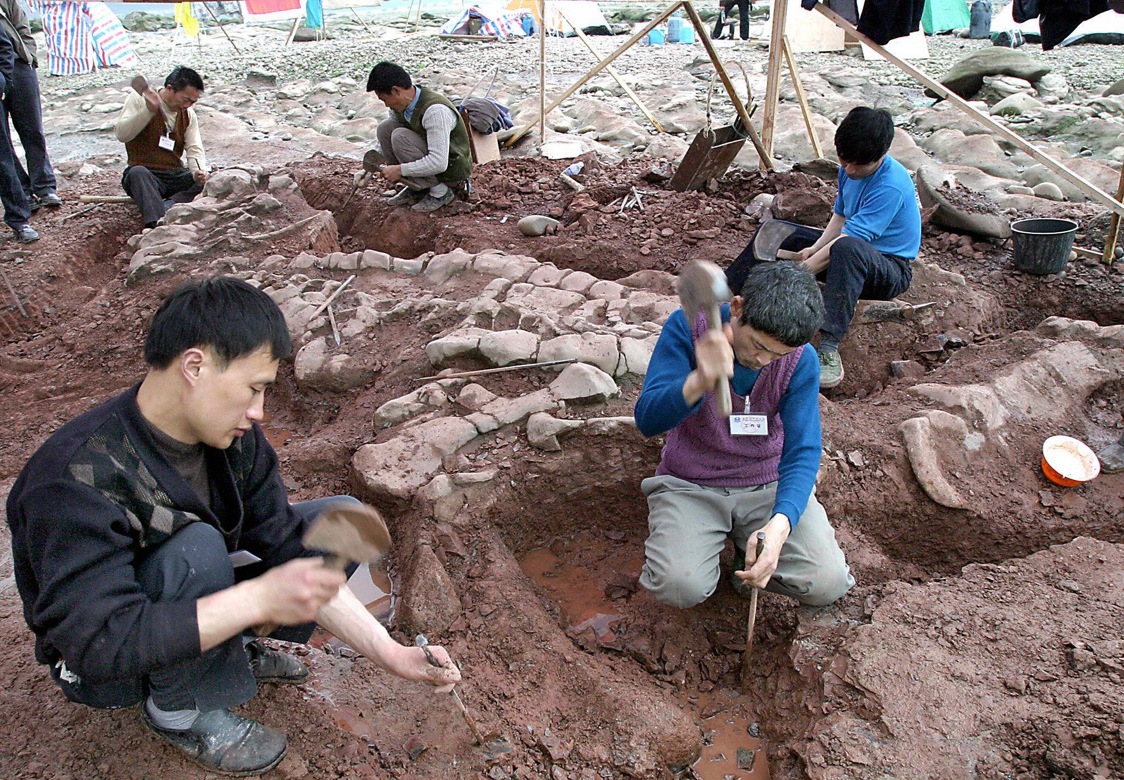 New dinosaur, Yueosaurus Tiantaiensis, discovered in China - The World ...