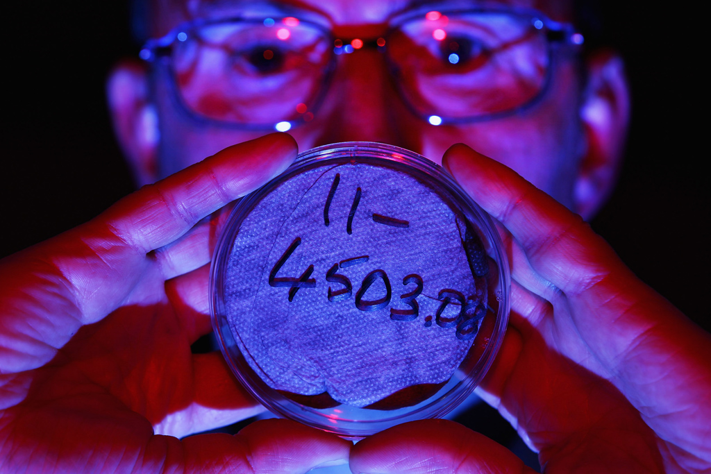 Radiation: Is the threat real? - The World from PRX