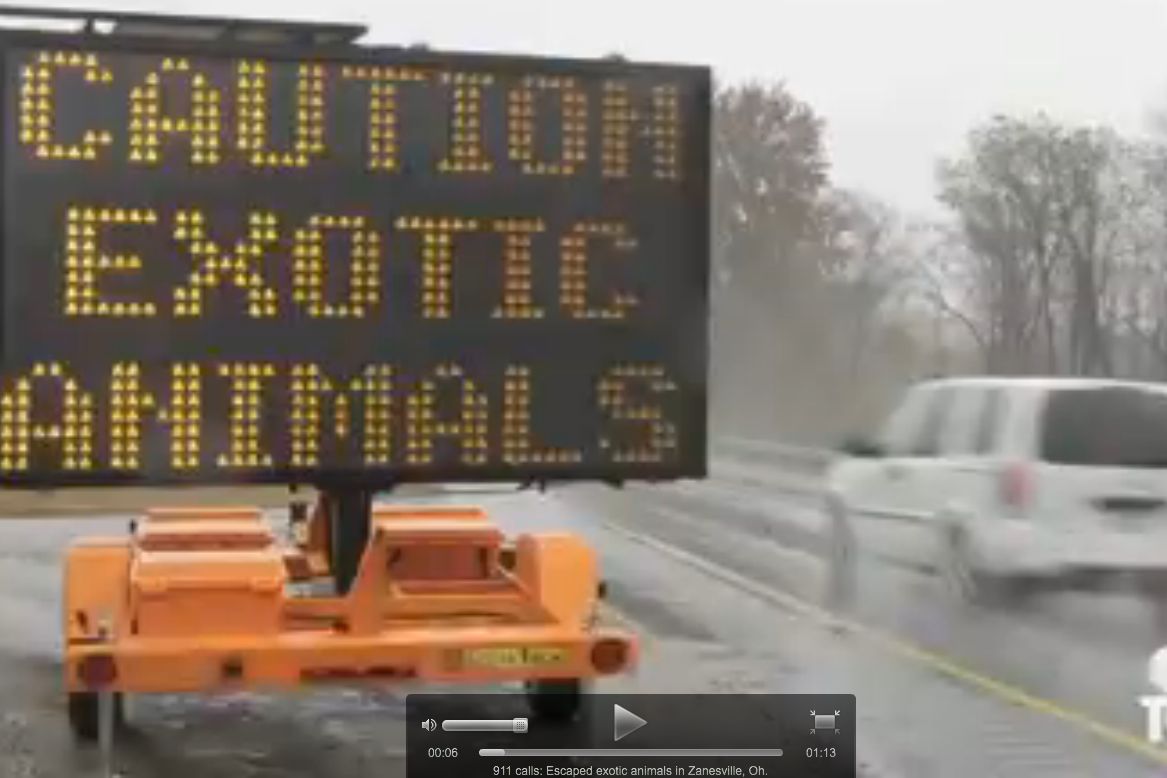 Zanesville exotic animals to be returned to Terry Thompson’s widow ...