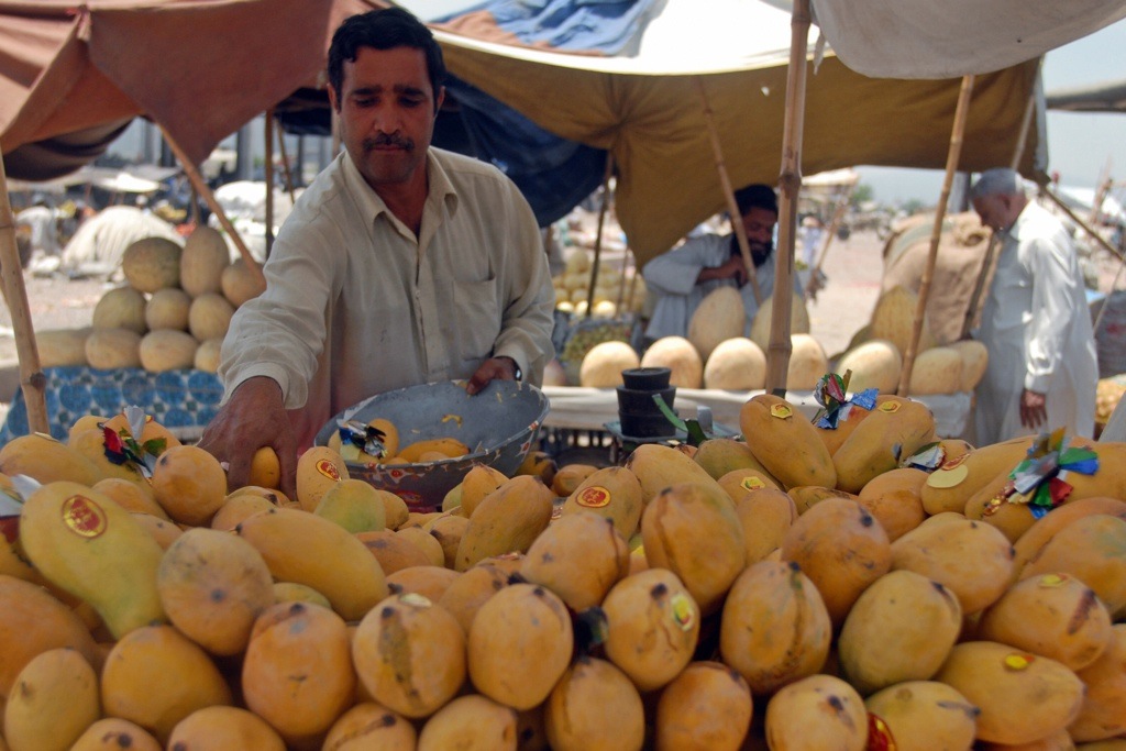 Pakistan's mangoes sweeten relations with US - The World from PRX