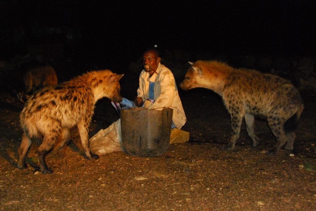 The Hyena men of Harar - The World from PRX