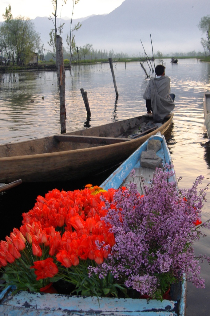 A photographic pilgrimage - The World from PRX