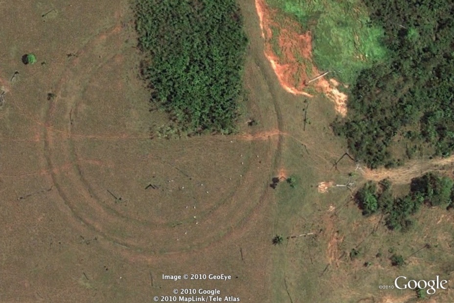 The Amazon's geoglyphs - The World from PRX