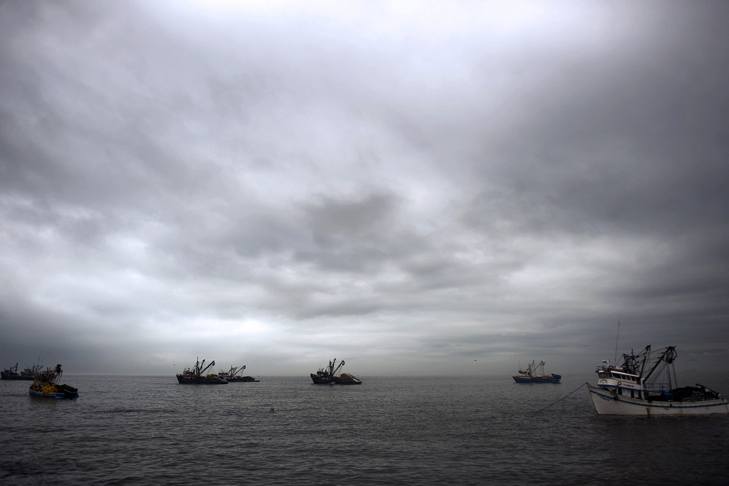 Peru: Where have all the anchovies gone? - The World from PRX