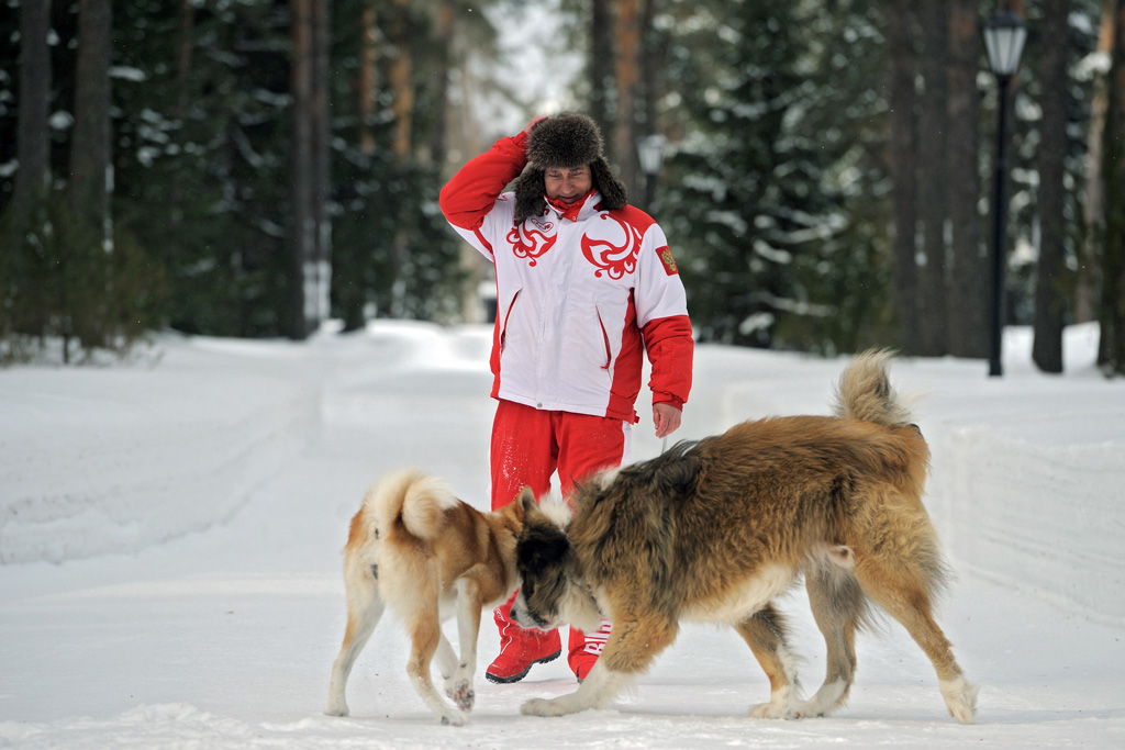 Vladimir Putin shows softer side walking his pet dogs - The World from PRX