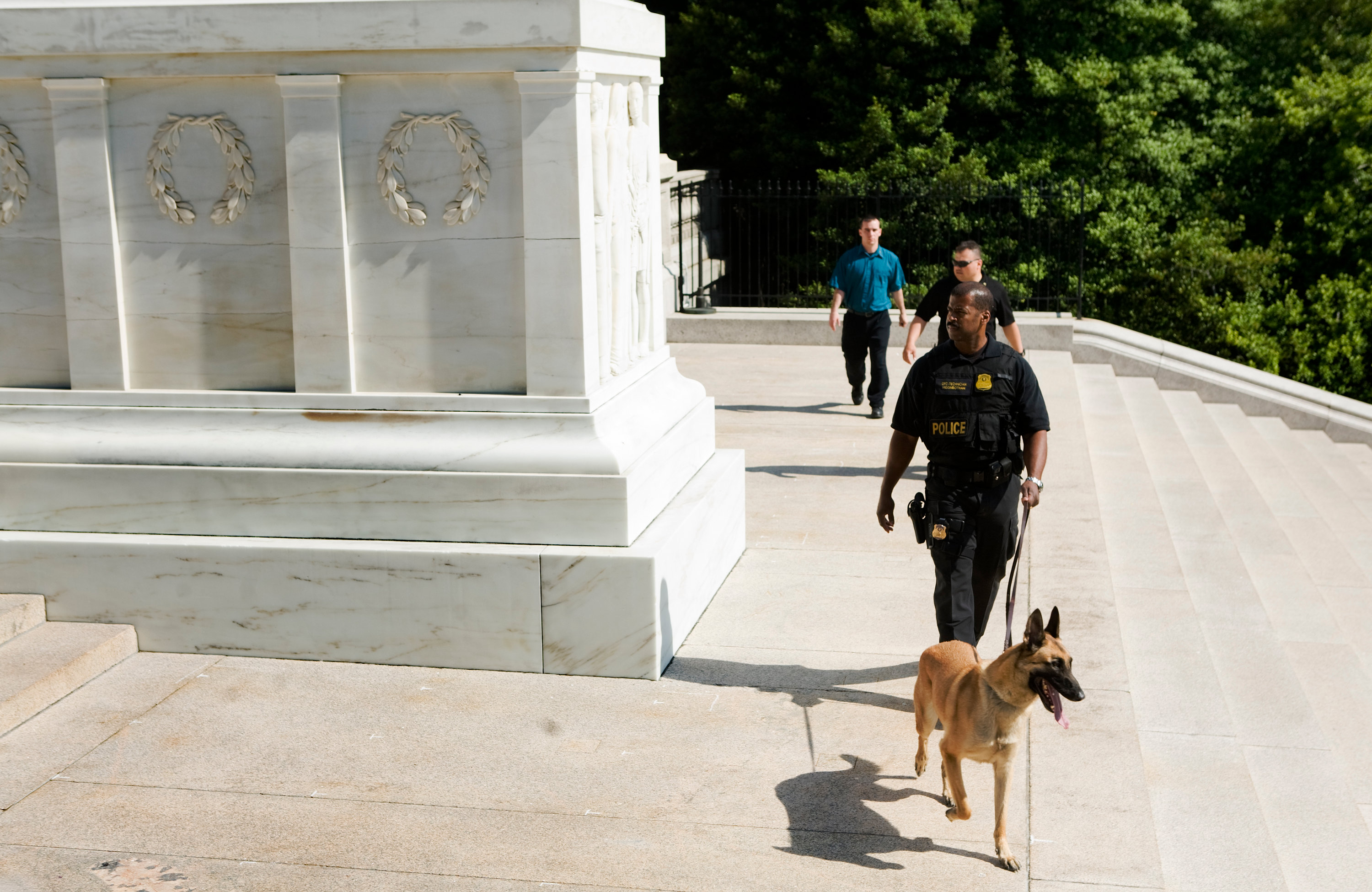 Secret Service dog protecting Biden falls to its death - The World from PRX