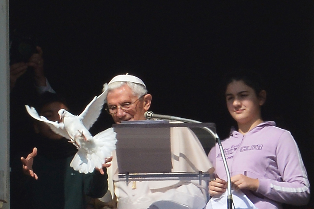 Pope’s dove of peace attacked by seagull - The World from PRX