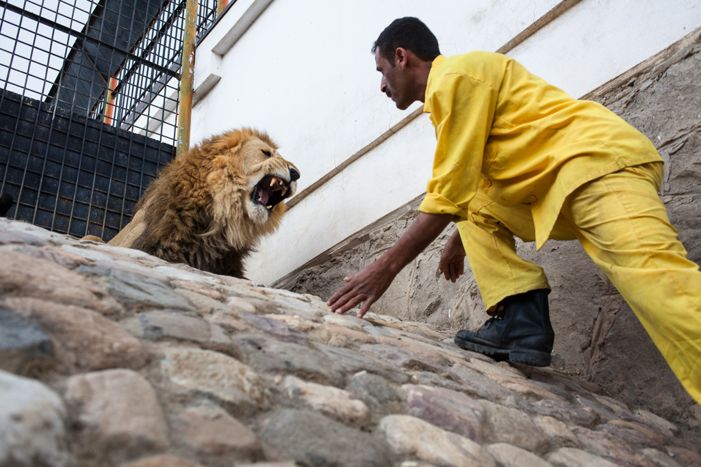 A day at the zoo — in Yemen (PHOTOS) - The World from PRX
