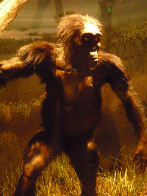Our early ancestors loved the taste of grass, study says - The World ...