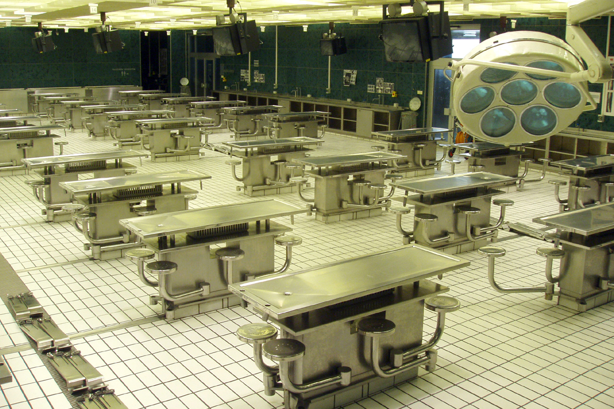 A better cadaver - The World from PRX