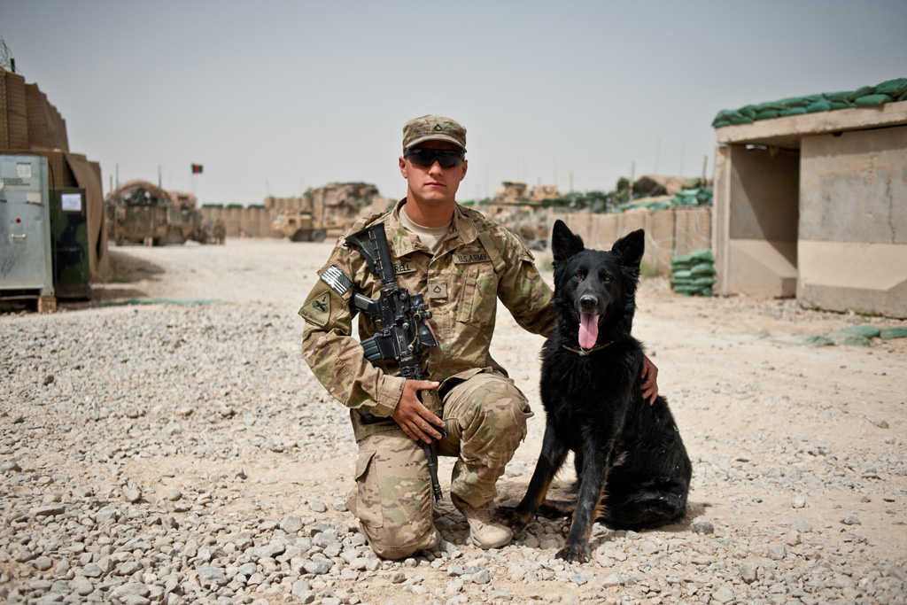 A soldier's best friend: military dogs in Afghanistan - The World from PRX