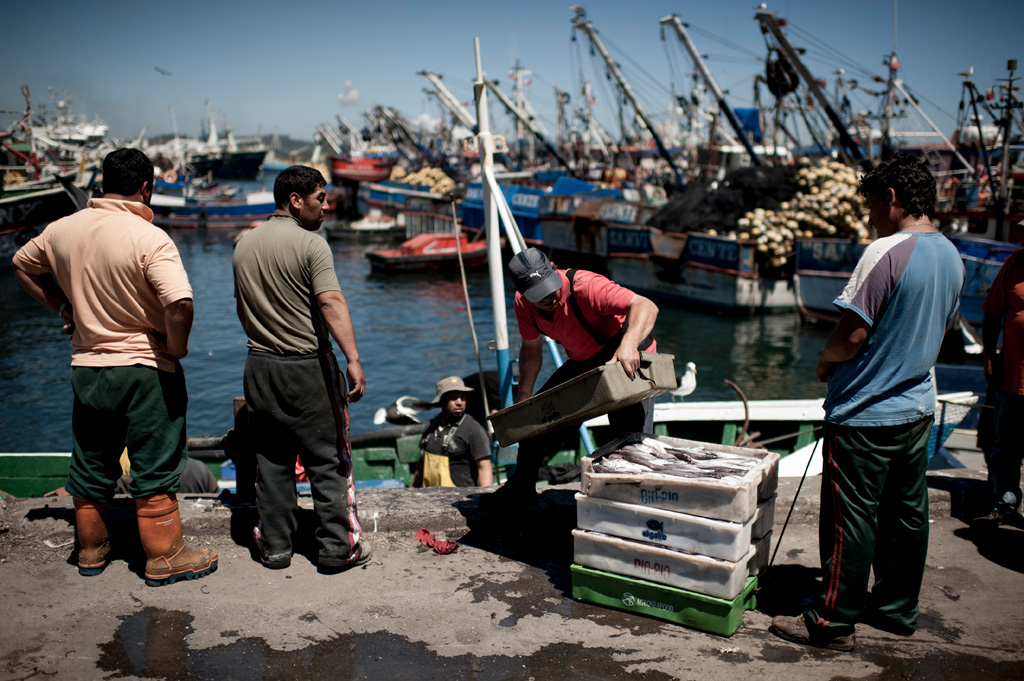 Aboard the Riveira, Chile's artisan fishermen hunt for what remains ...