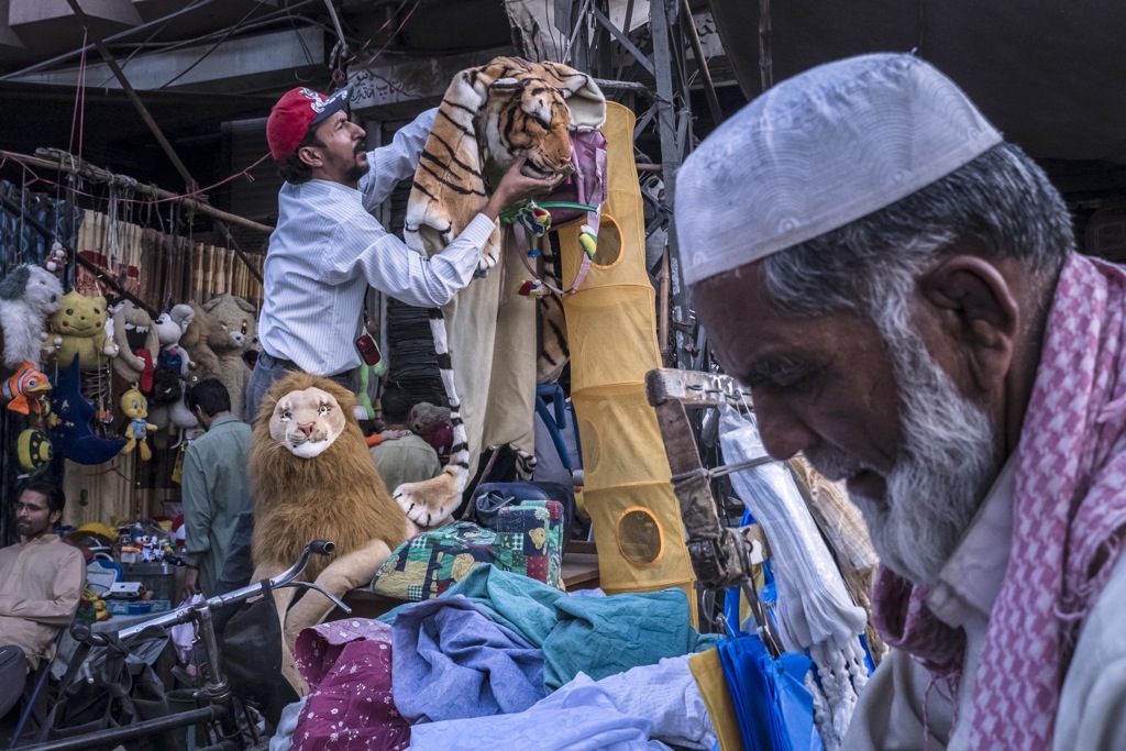 Pakistan party's tiger mascot is 'alive and well' - The World from PRX