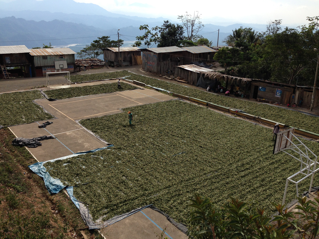 Peru: Cocaine king’s riches don’t reach growers - The World from PRX