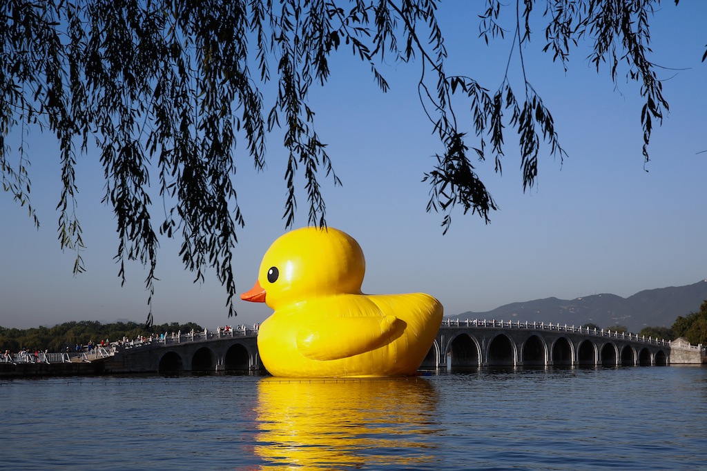 A giant, 54-foot rubber ducky has gone missing from a river in China ...