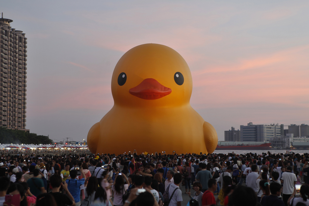 Looking at a big duck changes your brain - The World from PRX