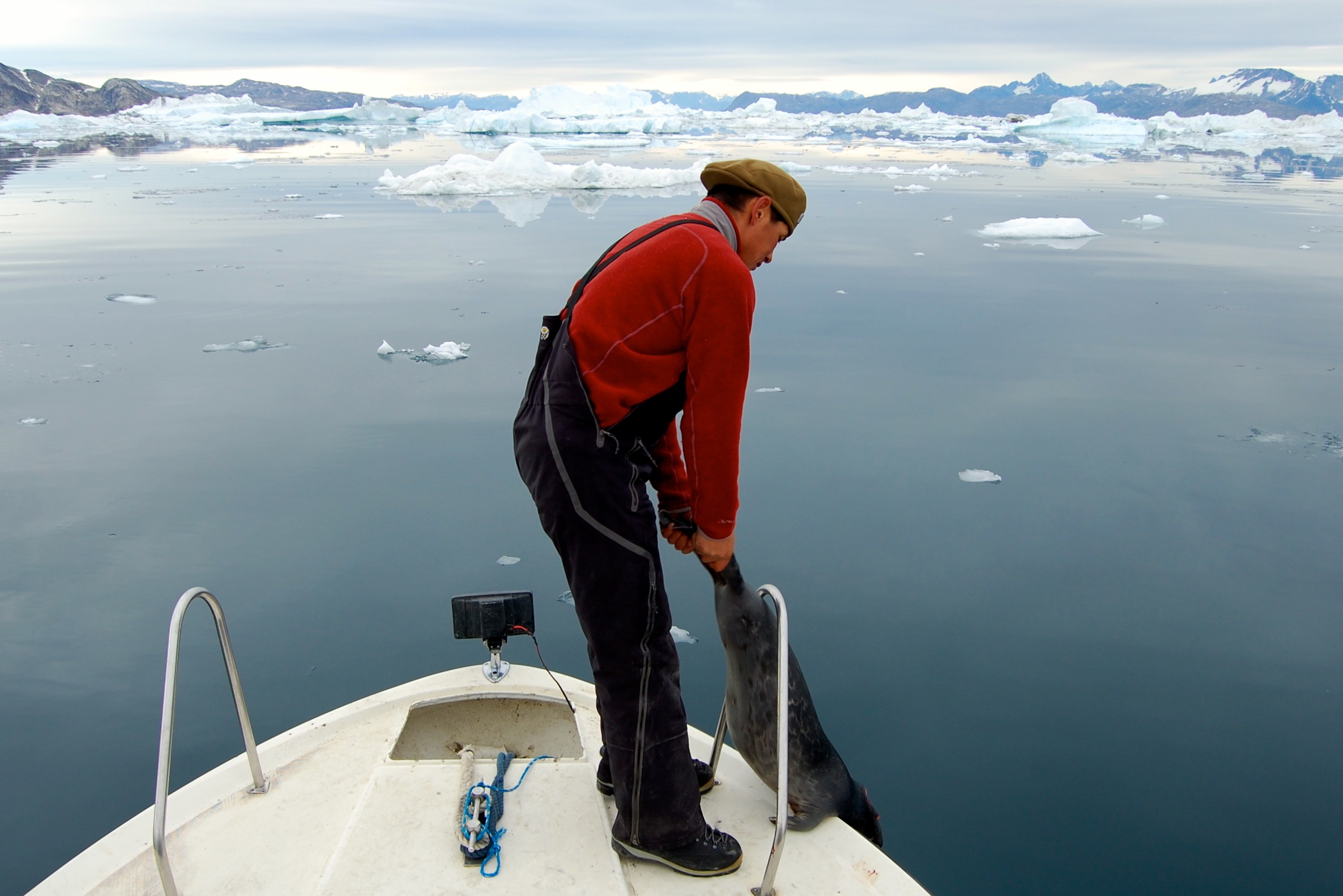 Environmental activists feel the heat in Greenland - The World from PRX