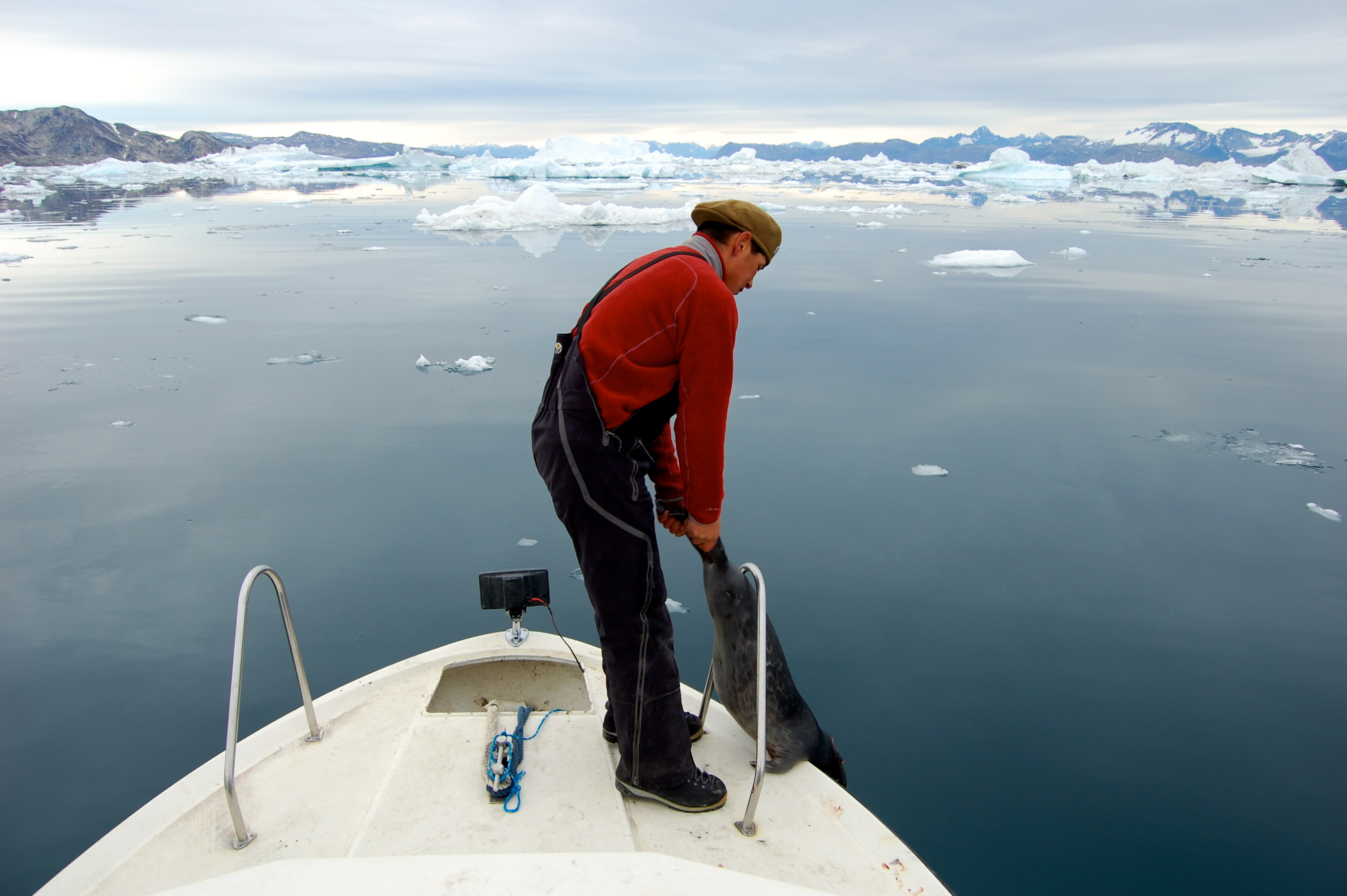 PHOTOS: Hunting seals in Greenland - The World from PRX