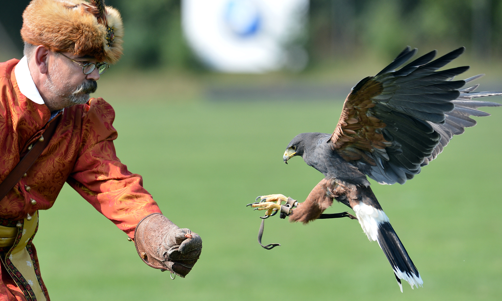 The Vatican may have just hired a hawk as part of the pope's security ...