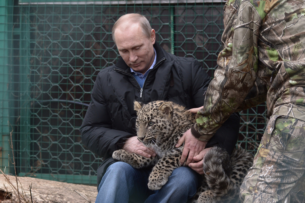 18 animals that 'have a feeling' about Putin, too - The World from PRX