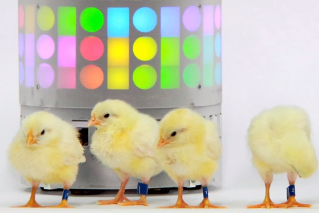 Watch these scientists use robots to hack and control animal ...