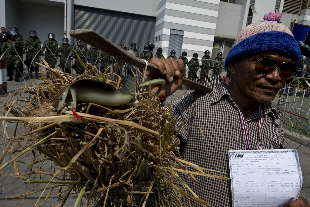 Food fight: Thailand’s crisis boils down to a battle over white rice ...