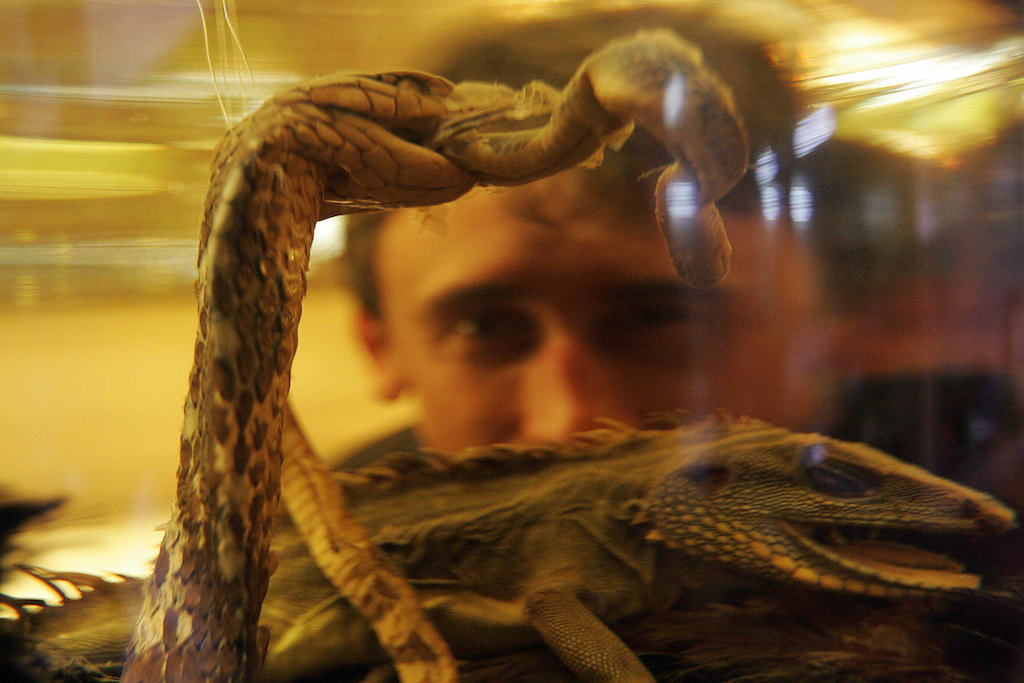 5 Asian remedies guaranteed to transform you into a superhero - The ...