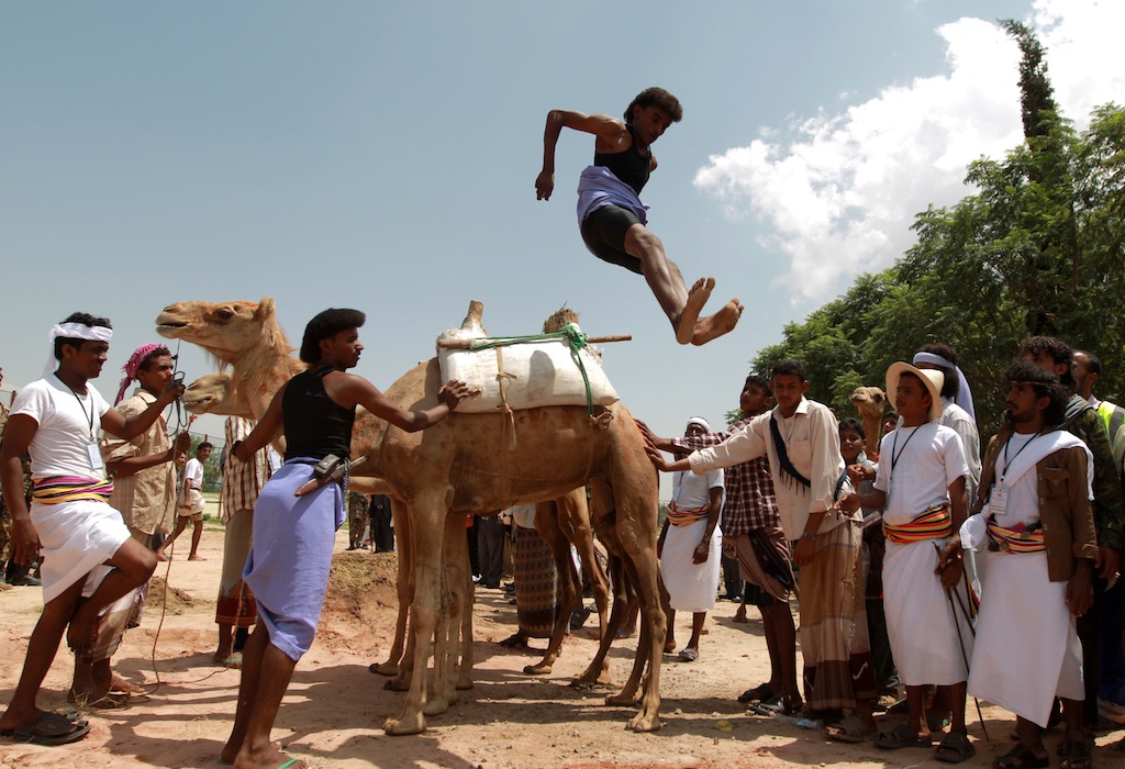 Camel festivals: Wrestling, racing, jumping and a beauty contest - The ...