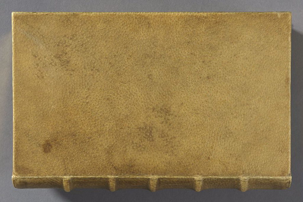 Harvard library confirms this 19th-century French book is bound in ...